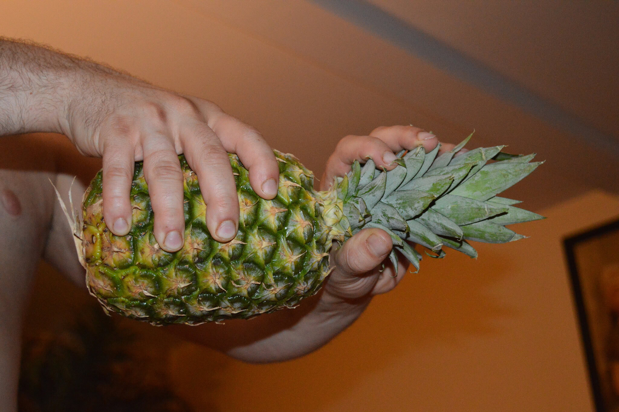 Comment faire pousser un ananas à la maison (Étape par étape!)