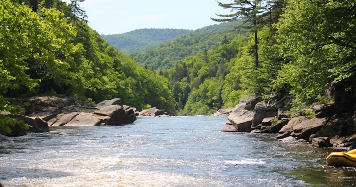 L'énigme de la rivière