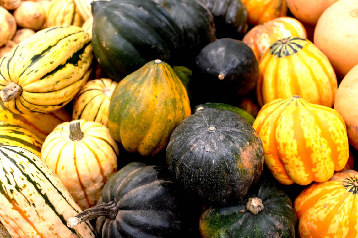 Courges d'automne : Top 5 à intégrer absolument dans vos recettes