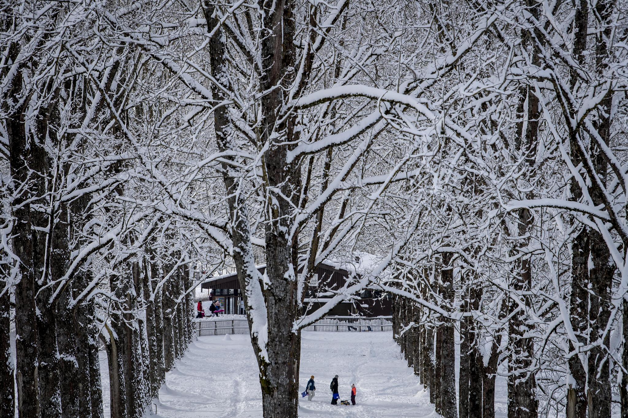 Tout sur la neige et toutes les sortes de neige